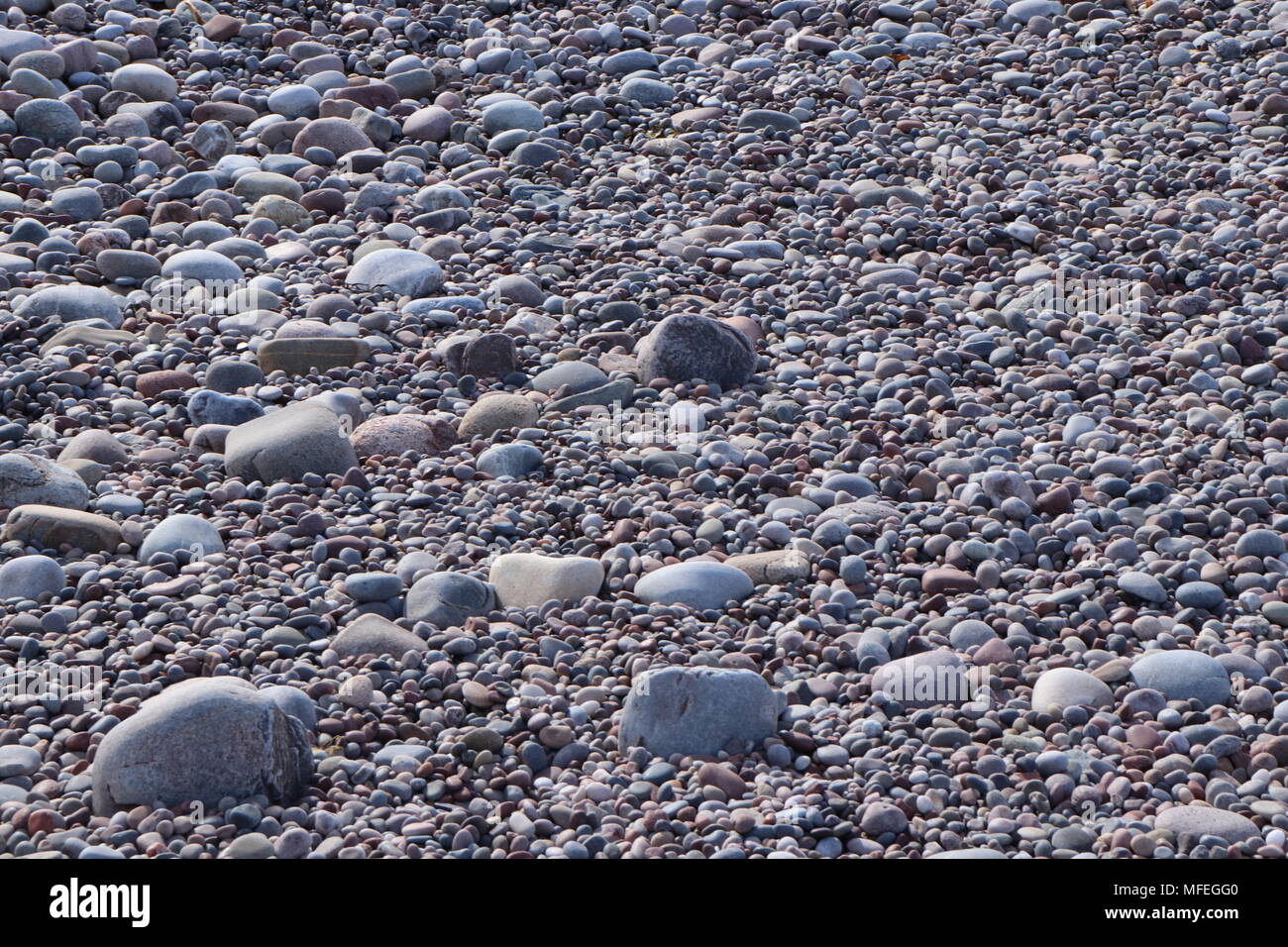 Pebbles on pebble beach Stock Photo - Alamy