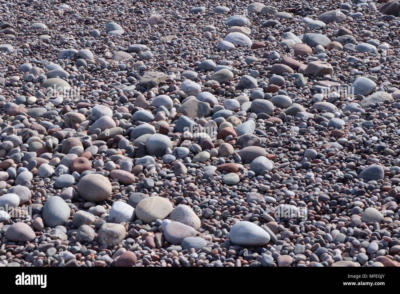 Pebbles on pebble beach Stock Photo - Alamy