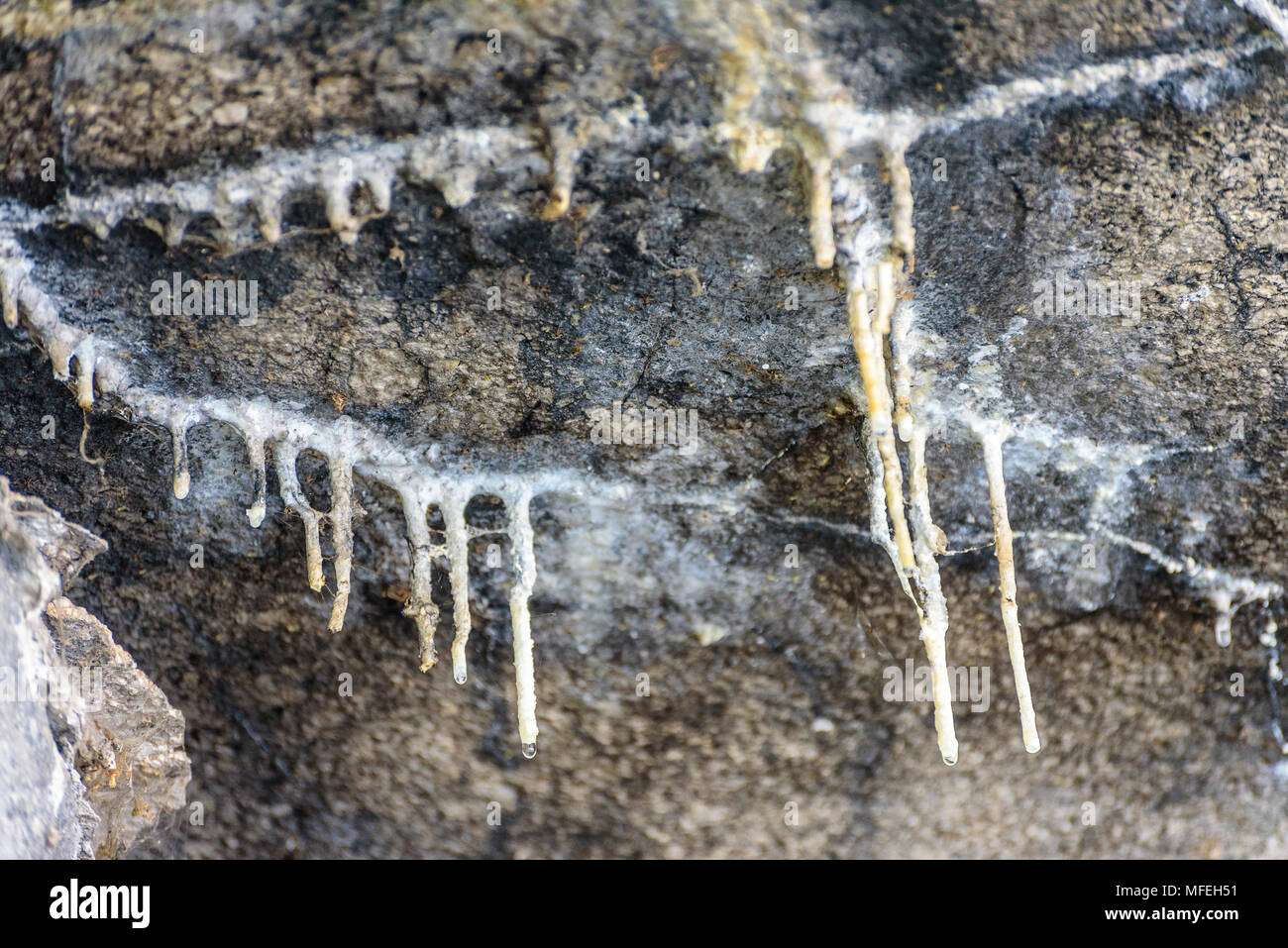 Liben Bridge in Prague Stock Photo - Alamy