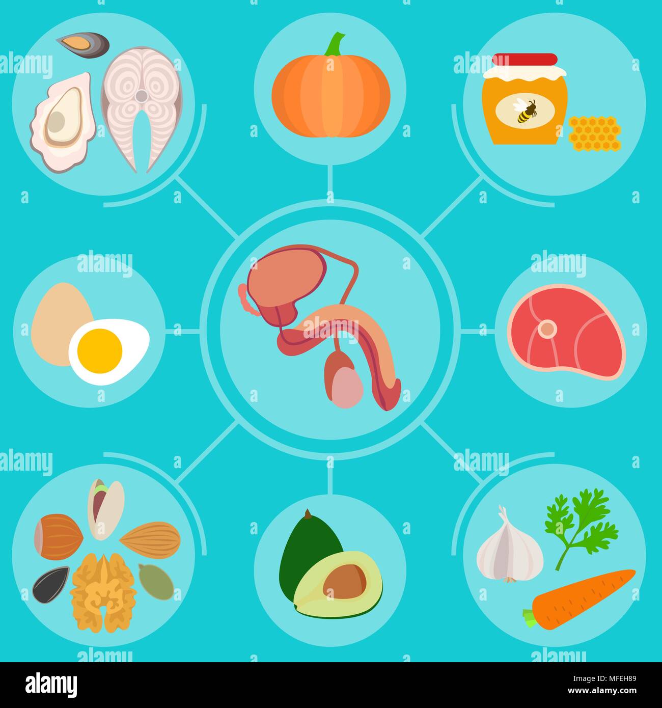 Male reproductive organ hi-res stock photography and images - Alamy