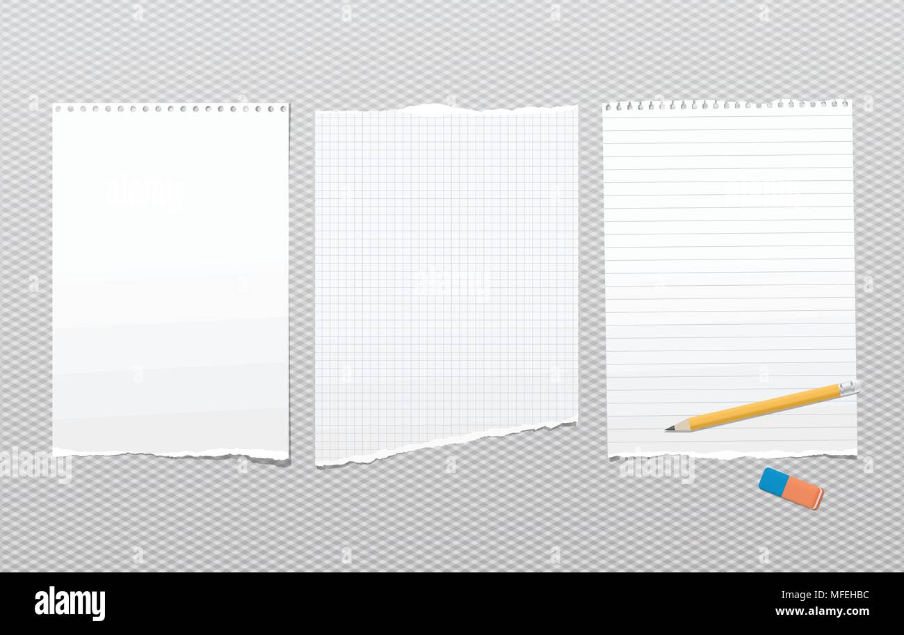 Pieces of torn white lined, blank note, notebook paper sheets for text ...