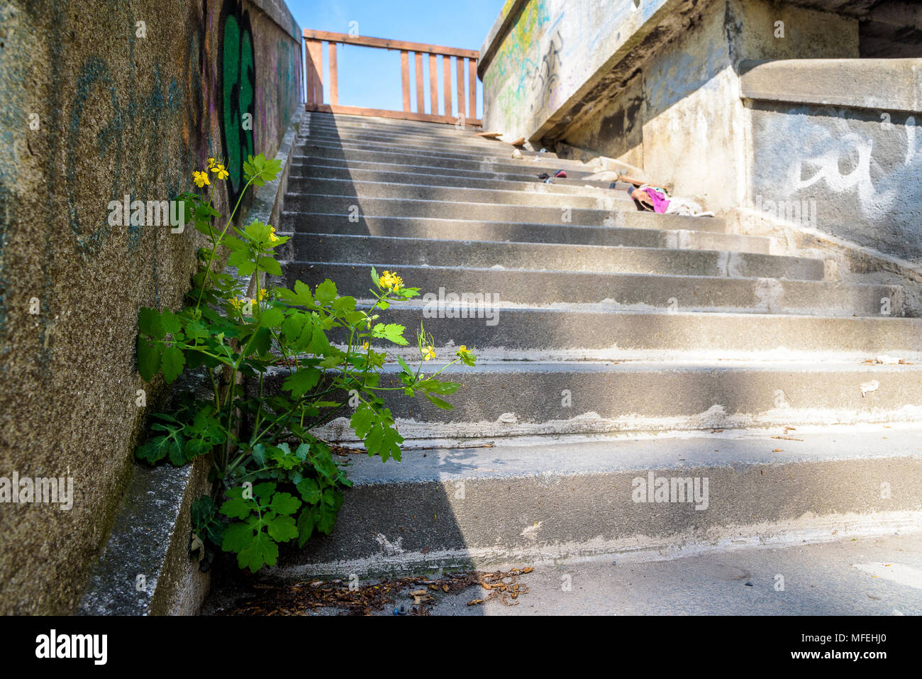 Liben Bridge in Prague Stock Photo - Alamy