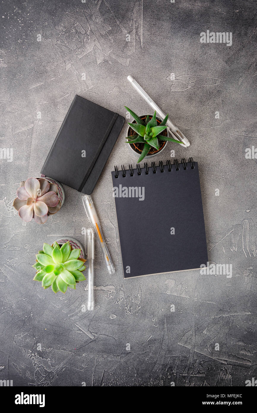 Black notepads pens and potted succulent on a grey desk in an overhead ...