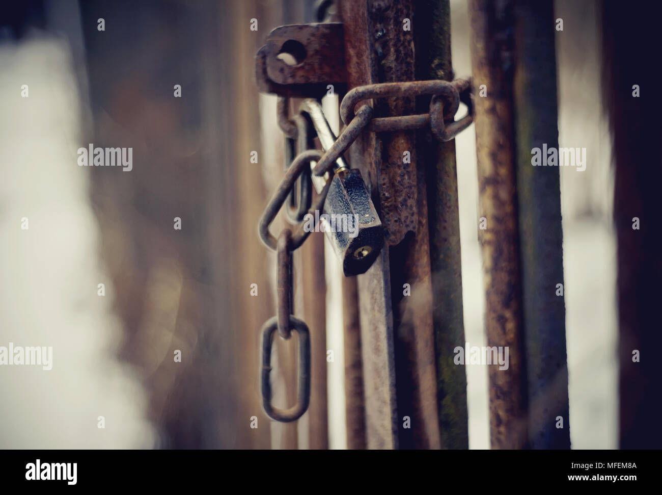 A metal gate closed on the lock on a rusty chain Stock Photo - Alamy
