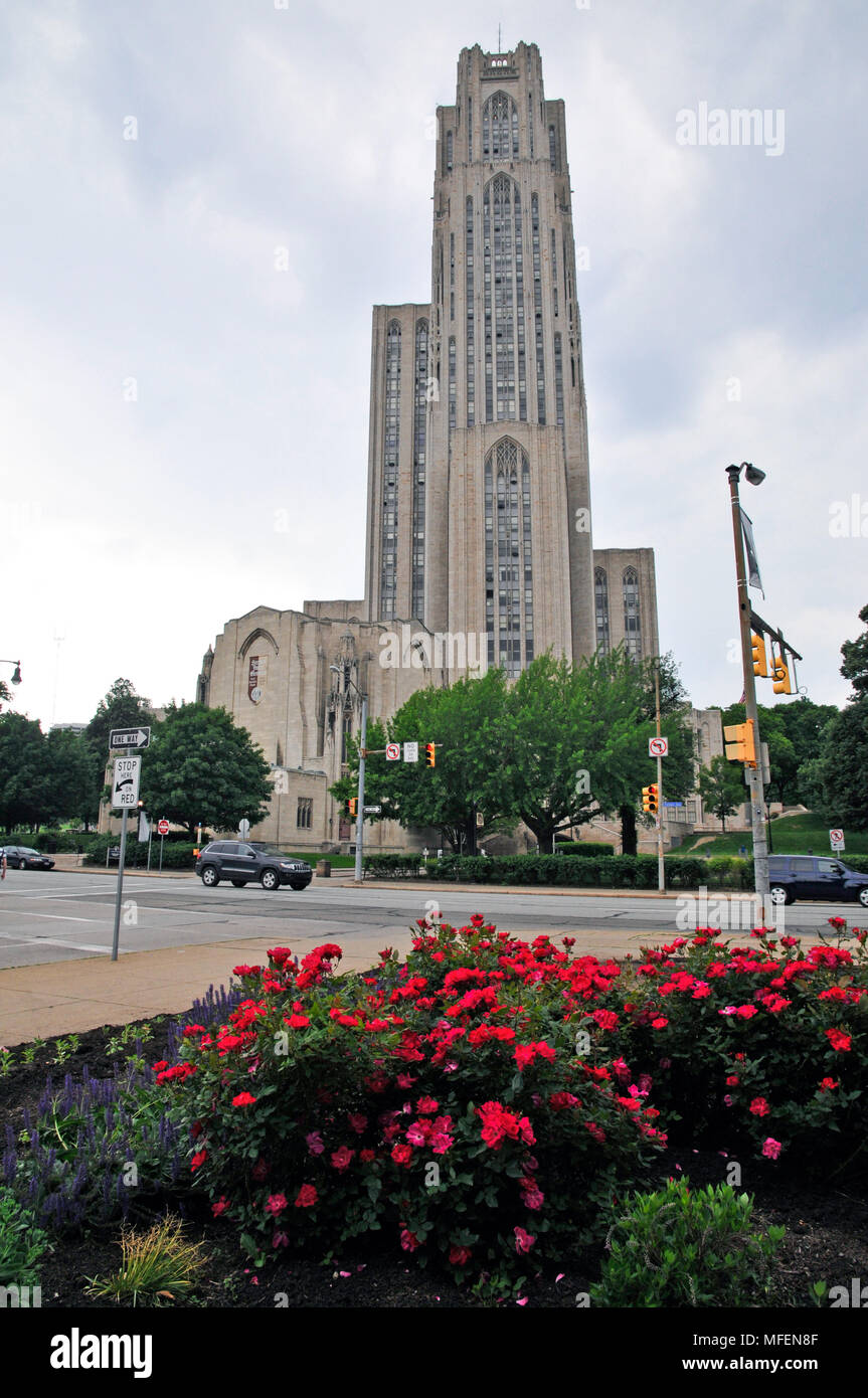 Cathedral of learning hi-res stock photography and images - Alamy