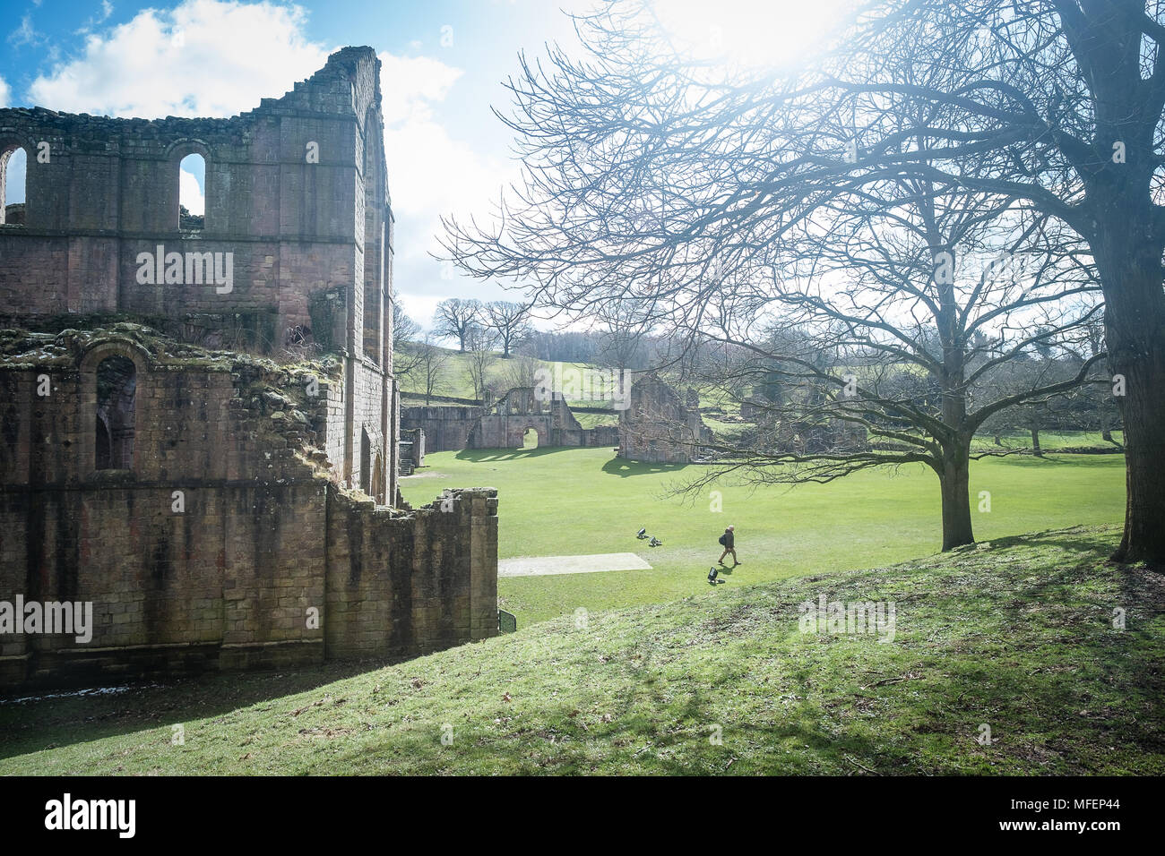 Fountains Abbey, National Trust property, Studley Royal, North ...