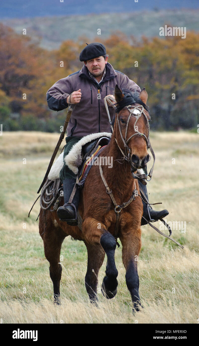 Gaucho; Patagonia, Chile Stock Photo - Alamy