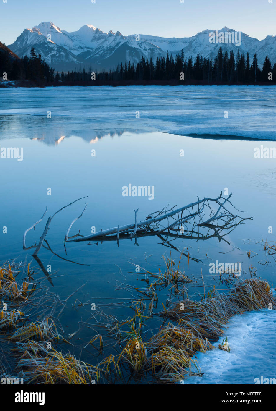 WInter pool and ice, Vermillion Lake; Banff National Park, Alberta ...