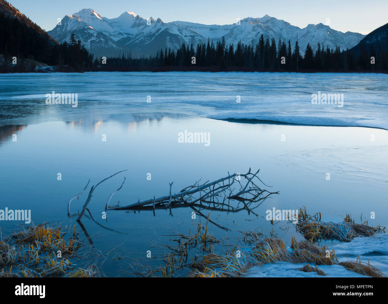 WInter pool and ice, Vermillion Lake; Banff National Park, Alberta ...
