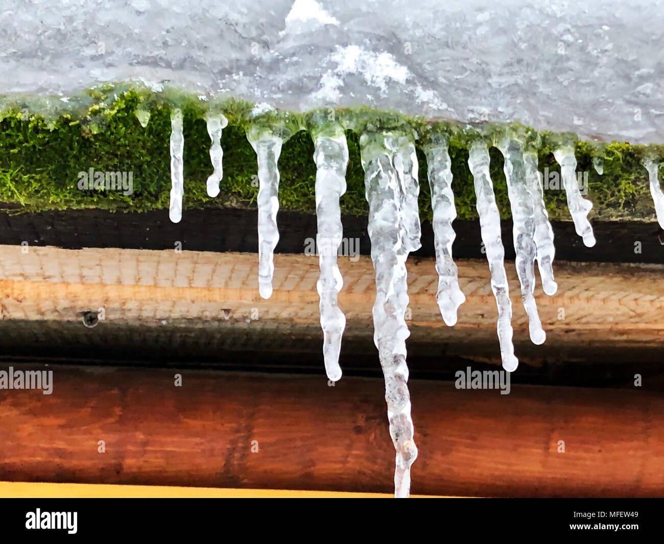 Drops fall from icicles spring hi-res stock photography and images - Alamy