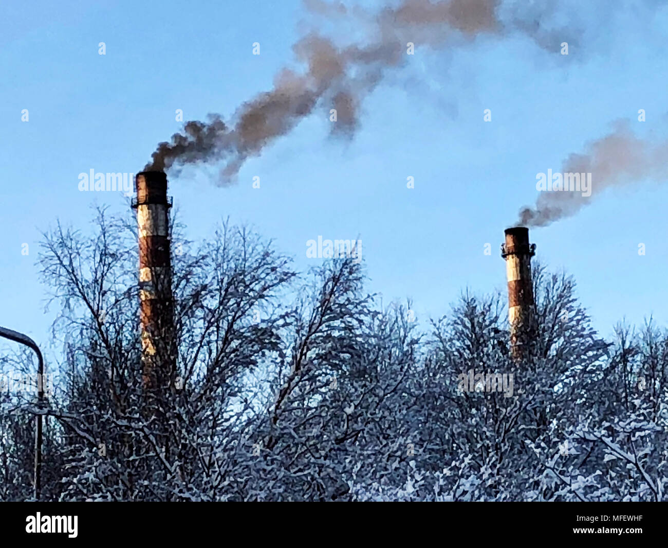 Two couples in the forest hi-res stock photography and images - Alamy