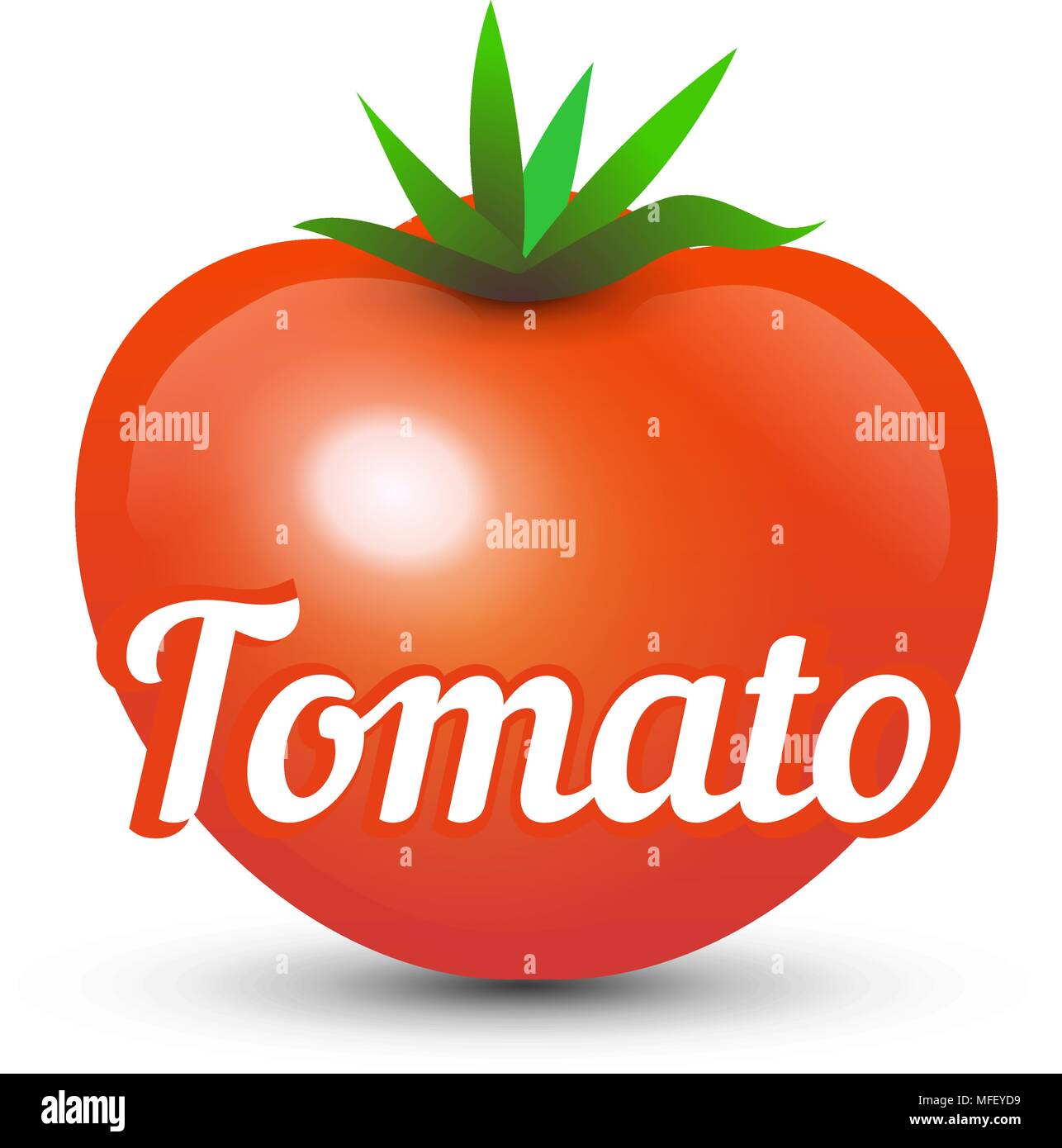 Fresh ripe tomatoes on Stock Vector Images - Alamy