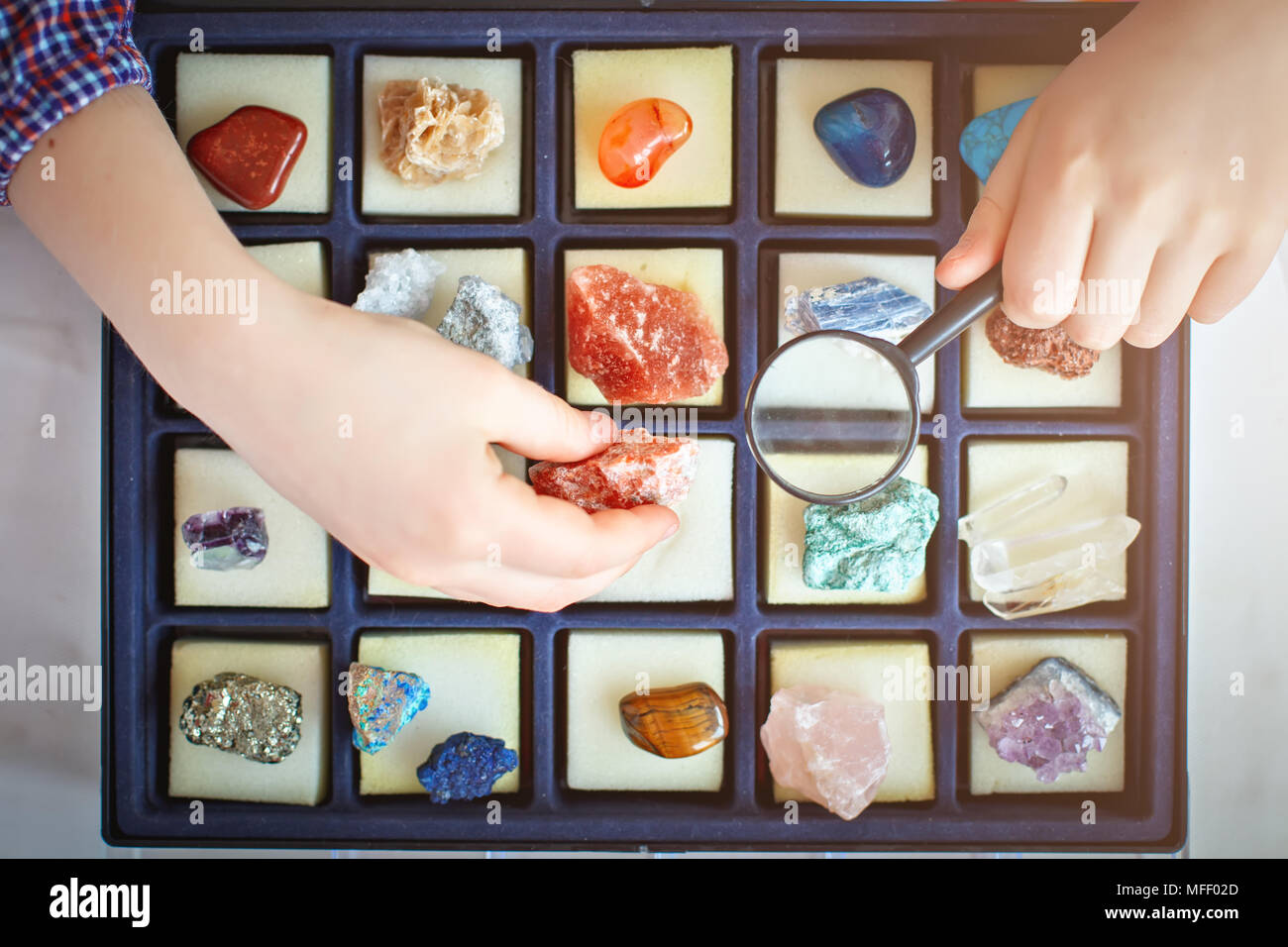 The child looks at his collection of minerals. The little geologist ...