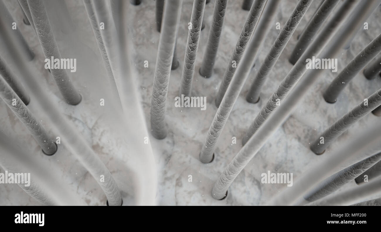 Hair follicles scalp hi-res stock photography and images - Alamy