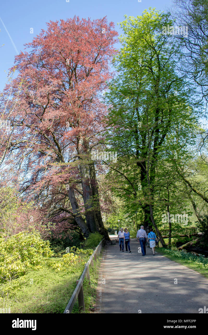 Romberg park botanical garden hi-res stock photography and images - Alamy