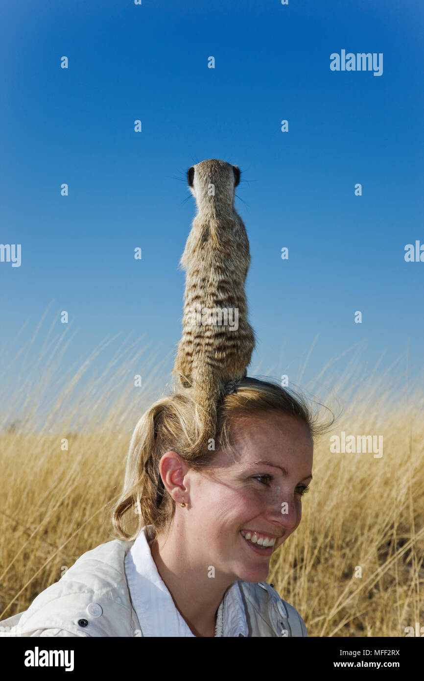 Scan for predators hi-res stock photography and images - Alamy