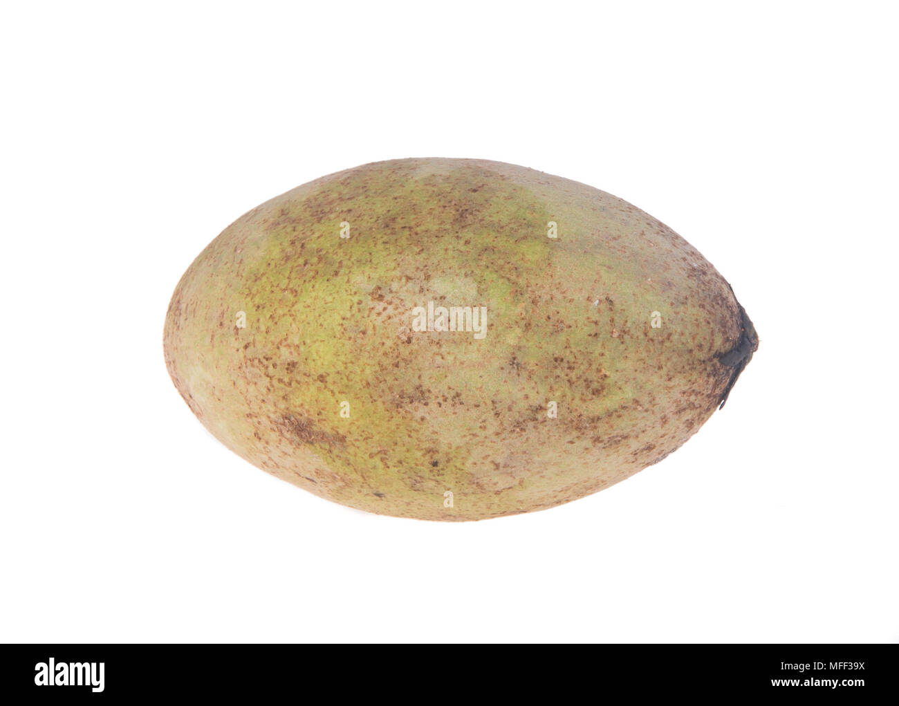 Ciku fruit hi-res stock photography and images - Alamy