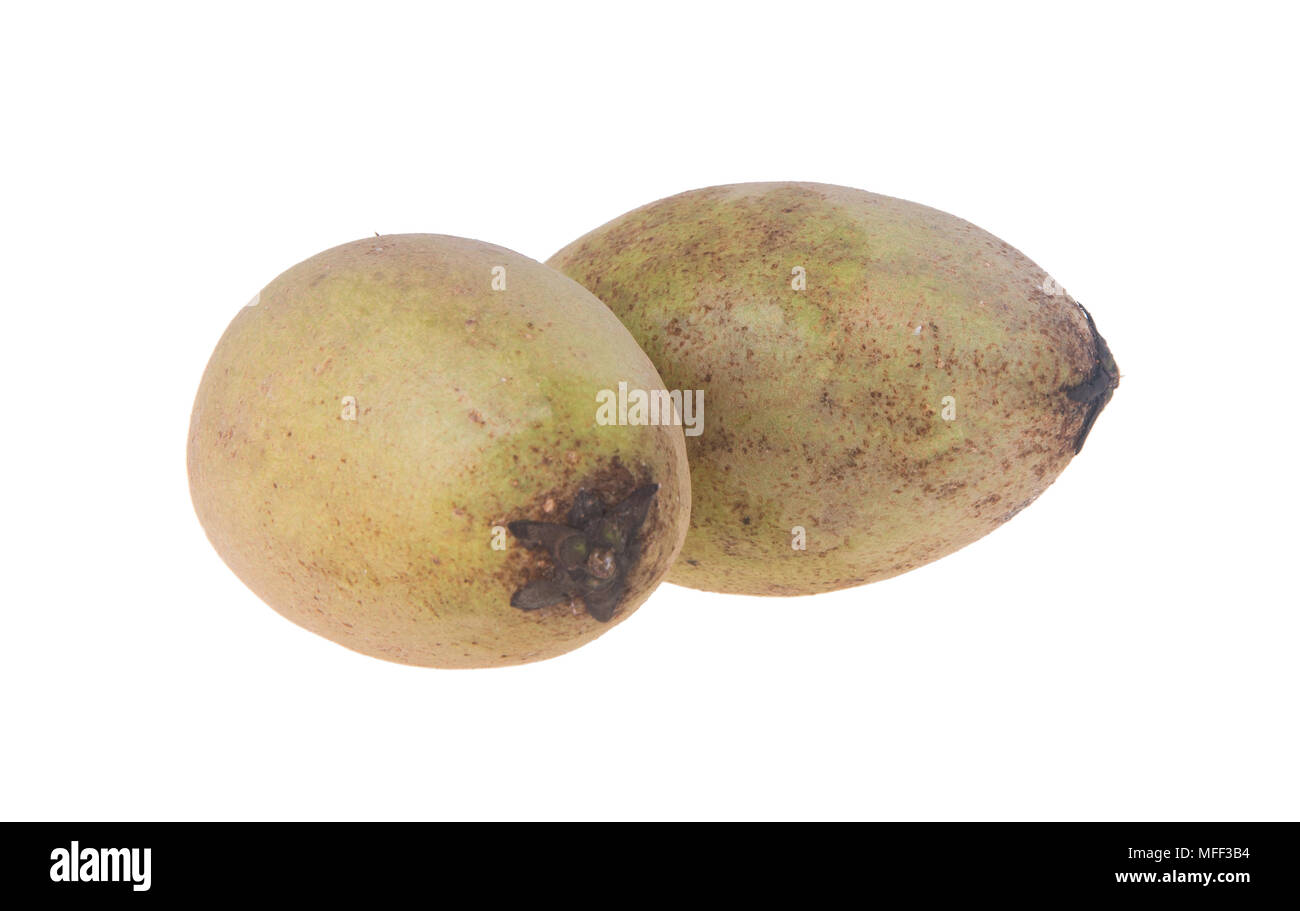 Ciku fruit hi-res stock photography and images - Alamy