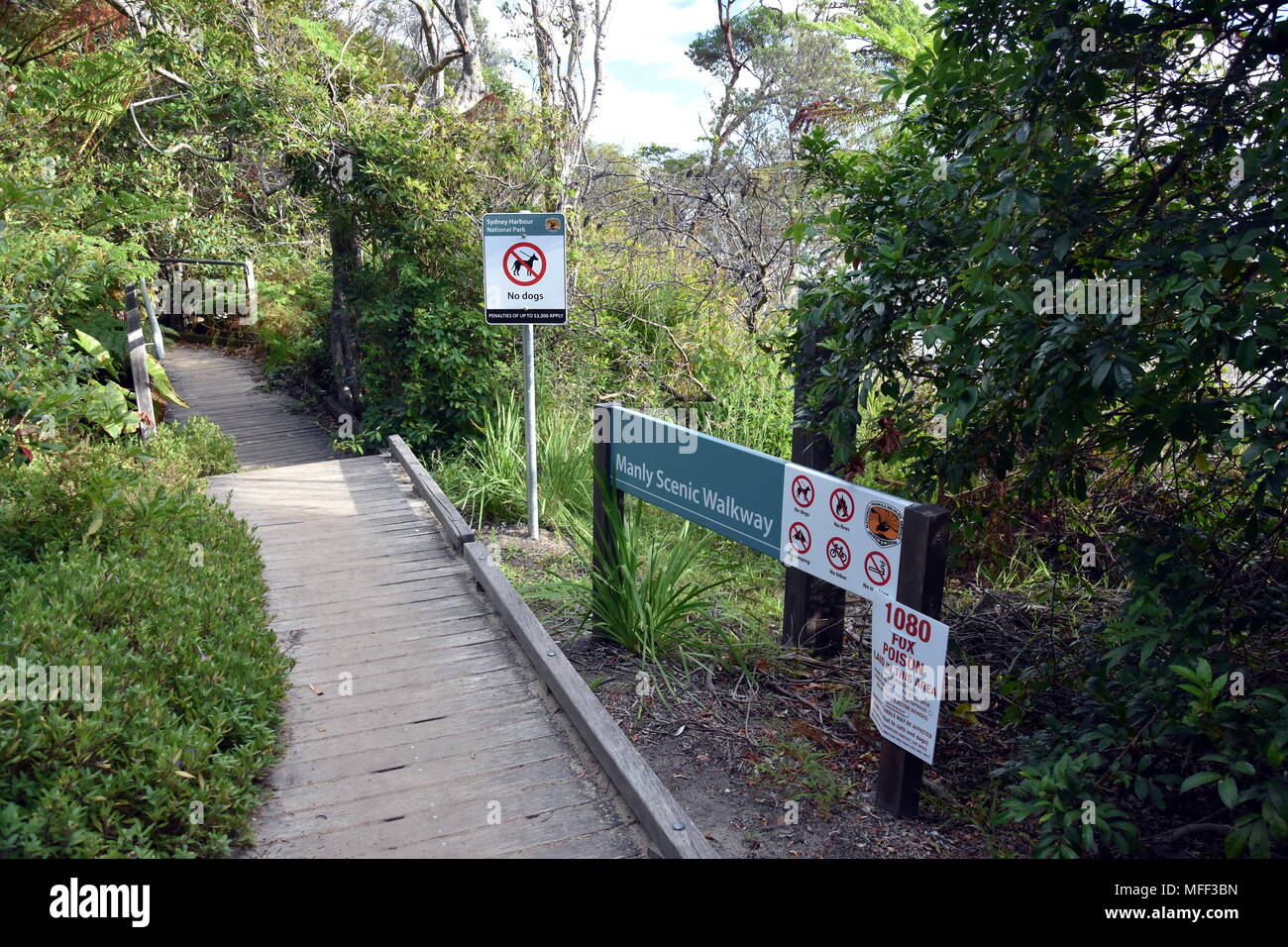 Sydney manly park walk hi-res stock photography and images - Alamy
