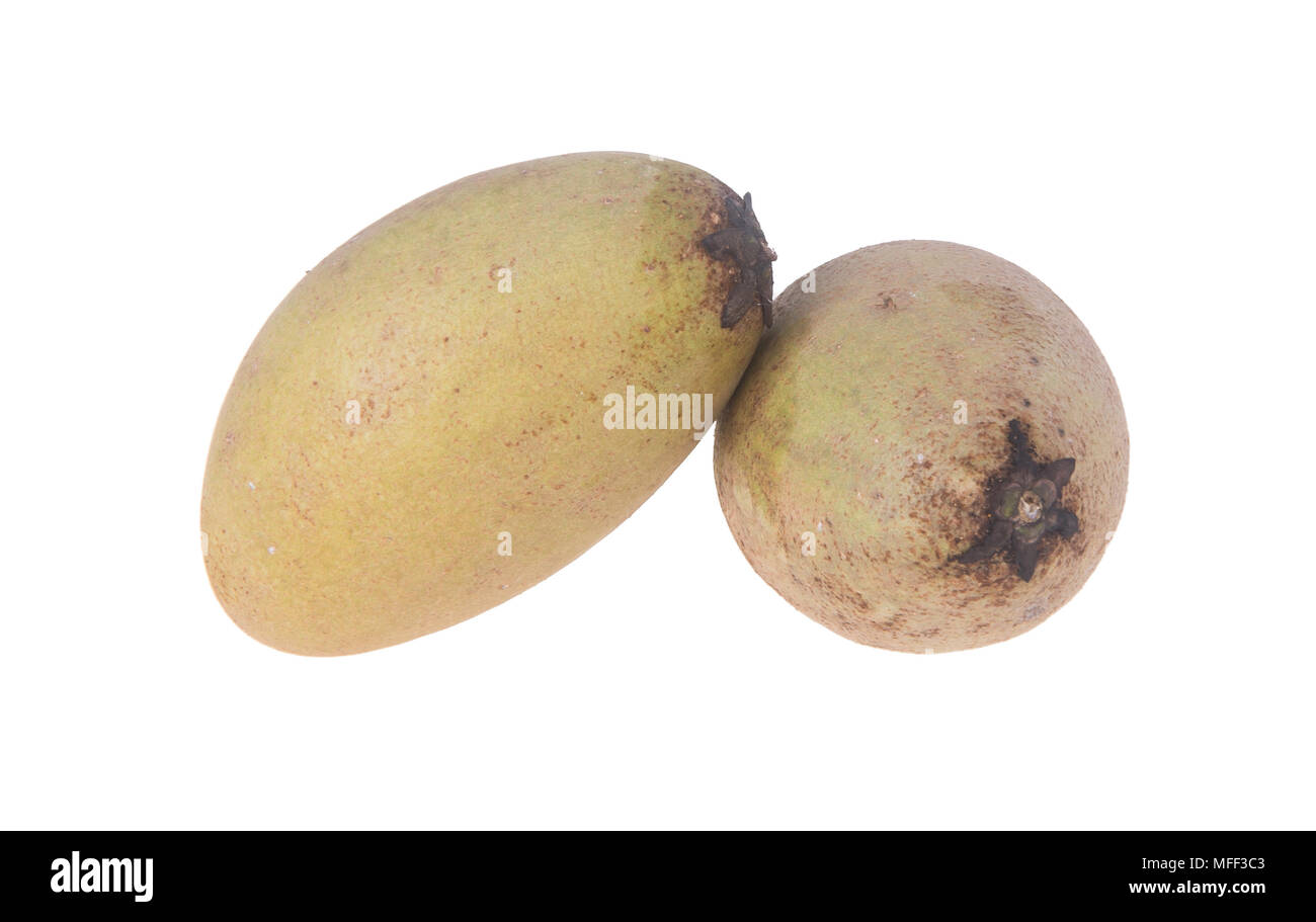 Ciku fruit hi-res stock photography and images - Alamy