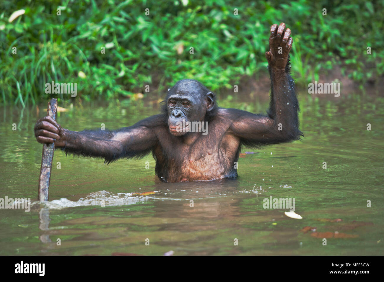 Off balance hi-res stock photography and images - Alamy