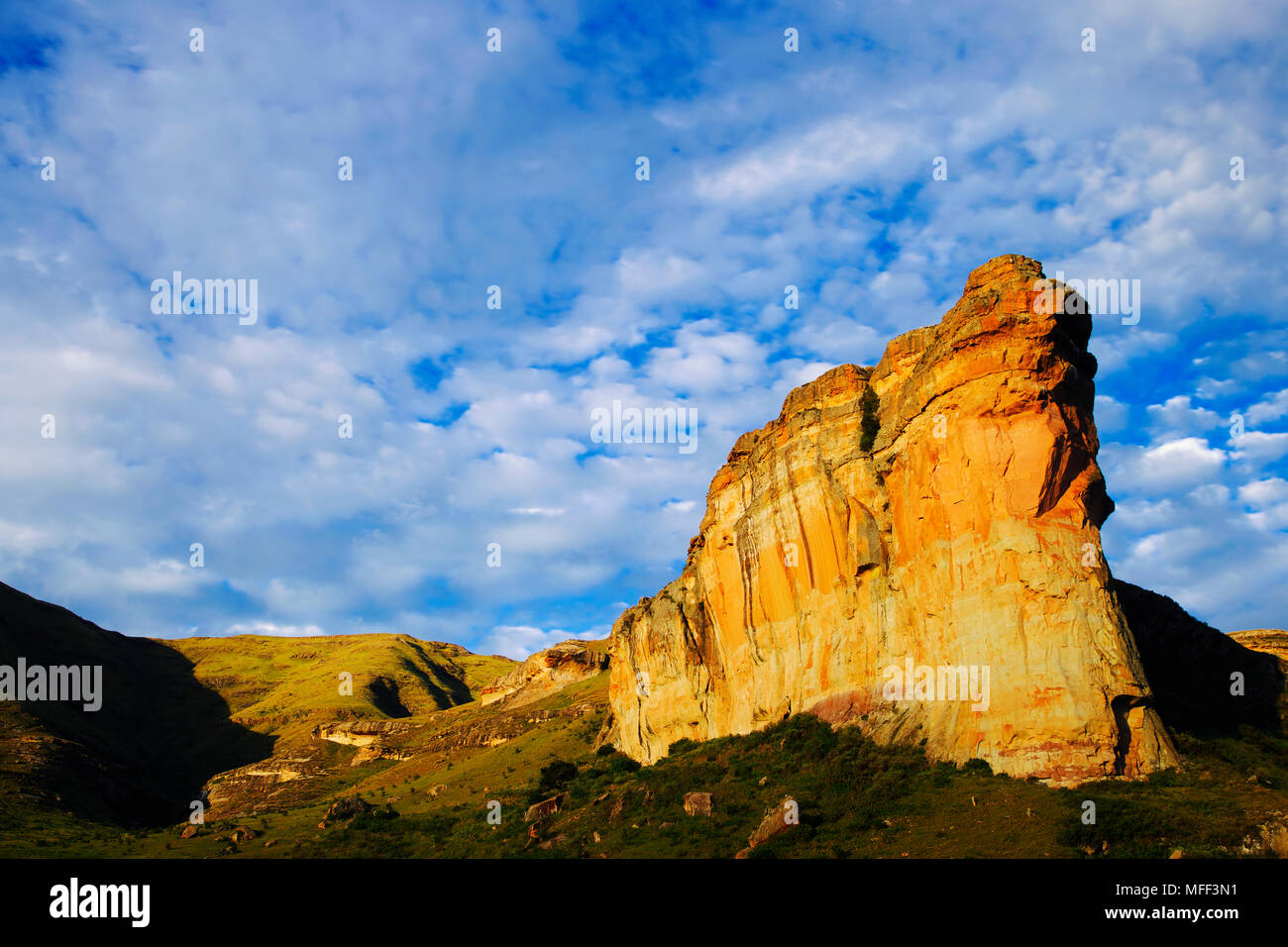 Brandwag High Resolution Stock Photography and Images - Alamy
