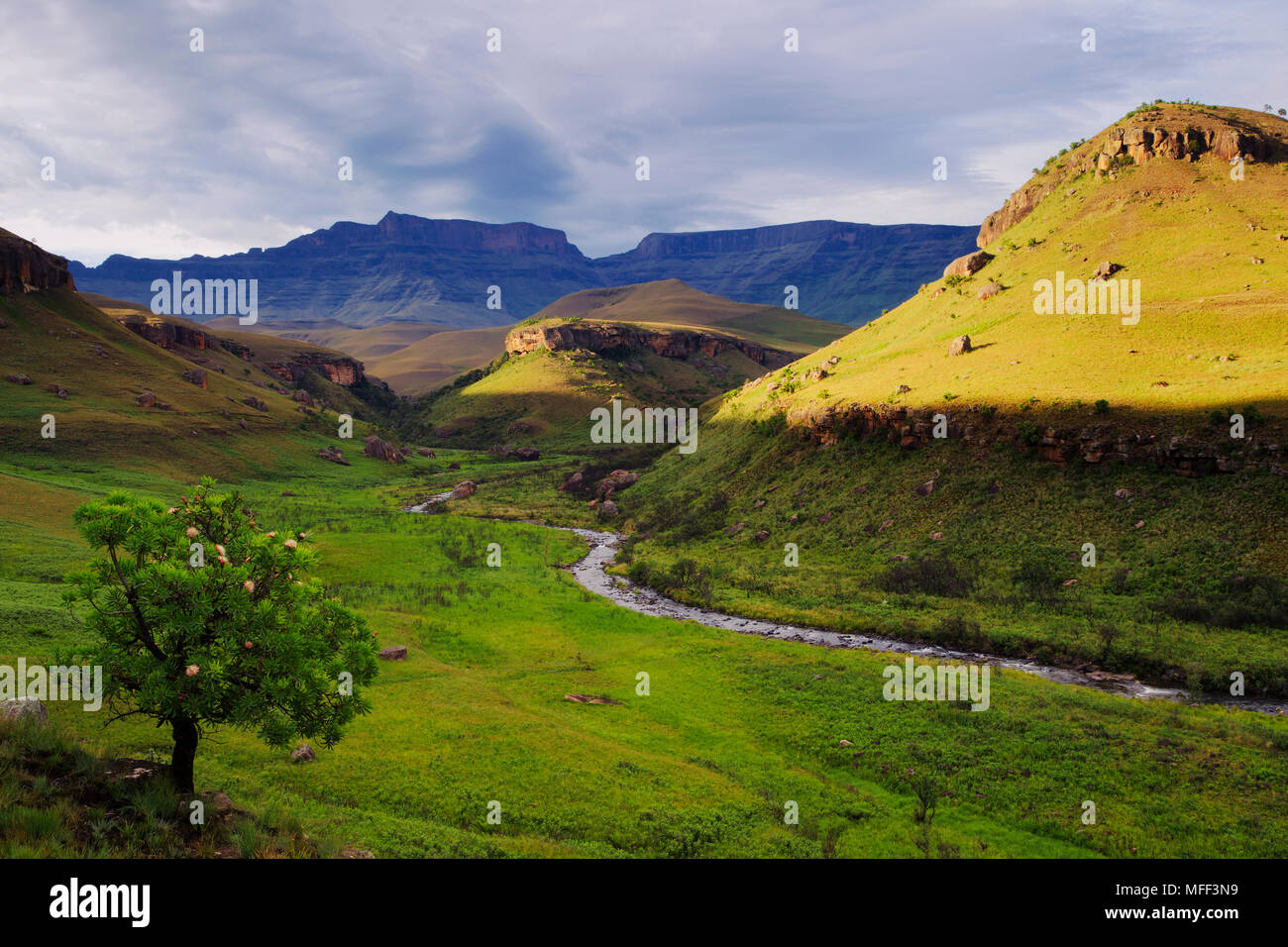 Giants Castle Nature Reserve within the uKhahlamba Drakensberg Park is ...