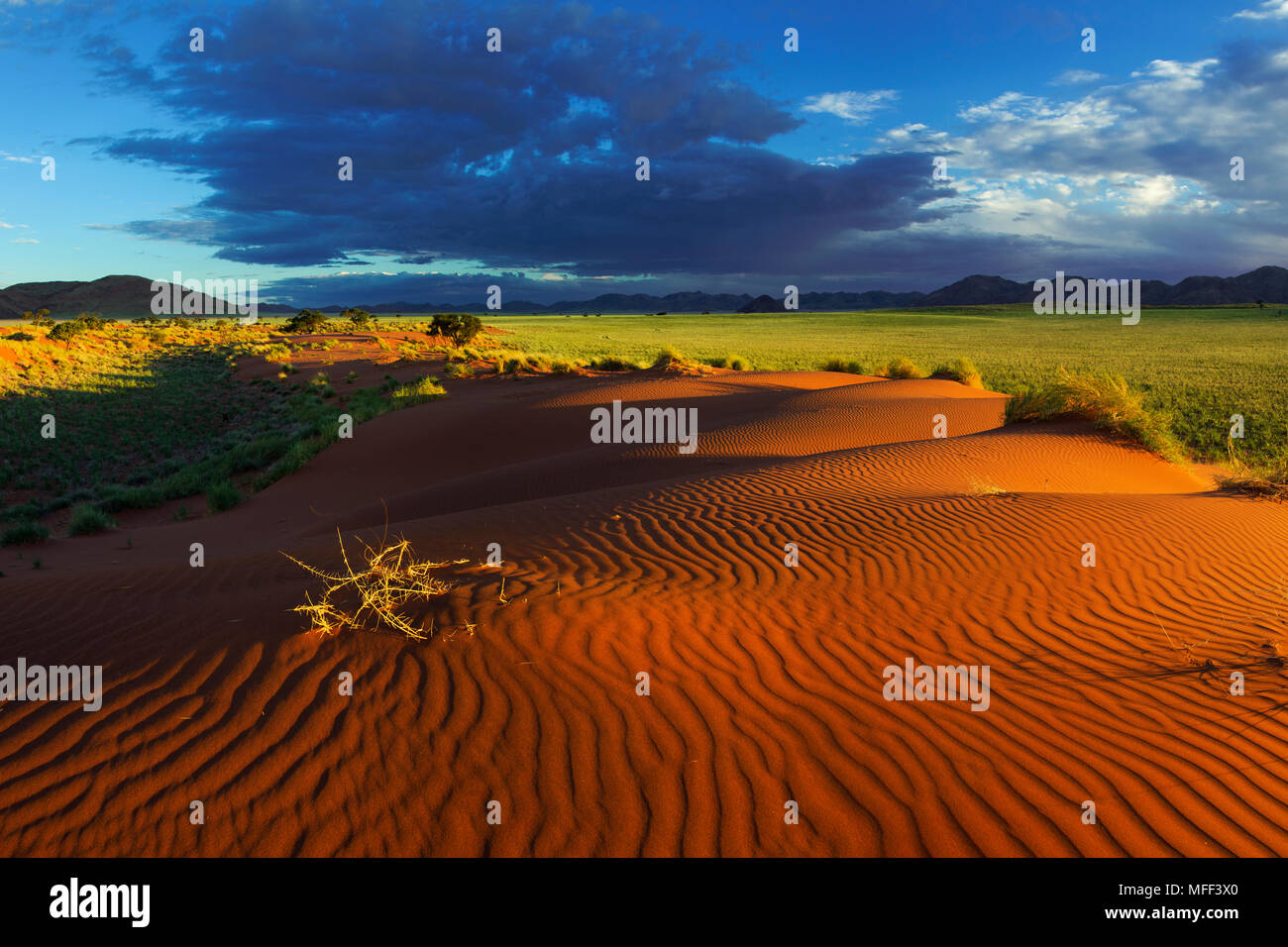 Panoramic view ecology namib desert pro namib namibrand nature reserve ...