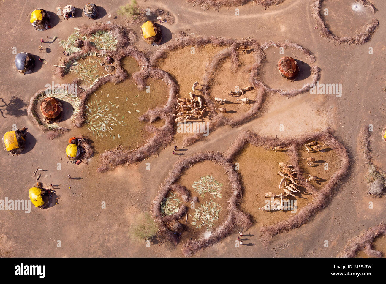 Rendille hi-res stock photography and images - Alamy