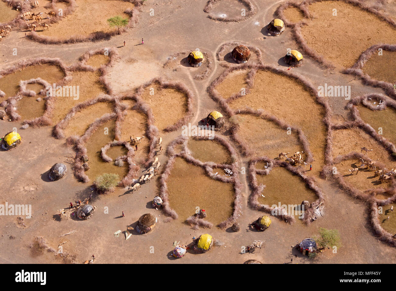 Rendille tribe with animal hi-res stock photography and images - Alamy