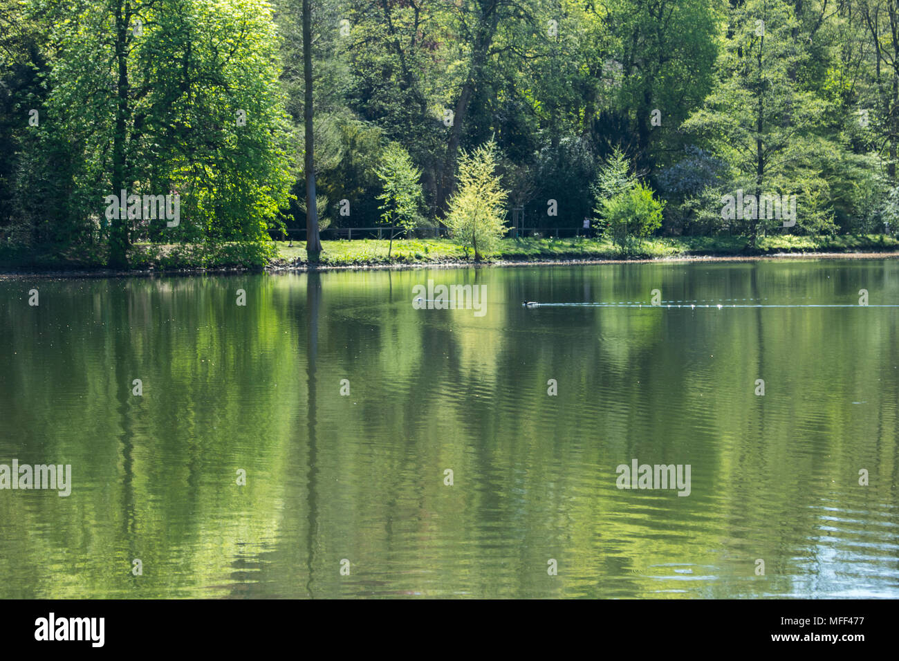 Romberg park botanical garden hi-res stock photography and images - Alamy
