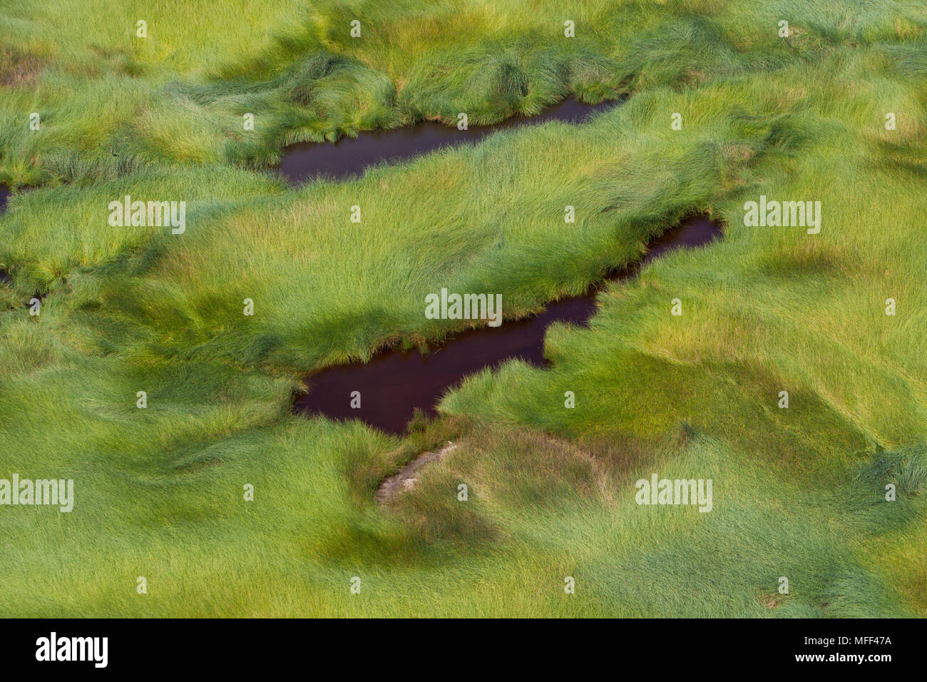 The Suguta river originates in a stream of water that emerges from the ...