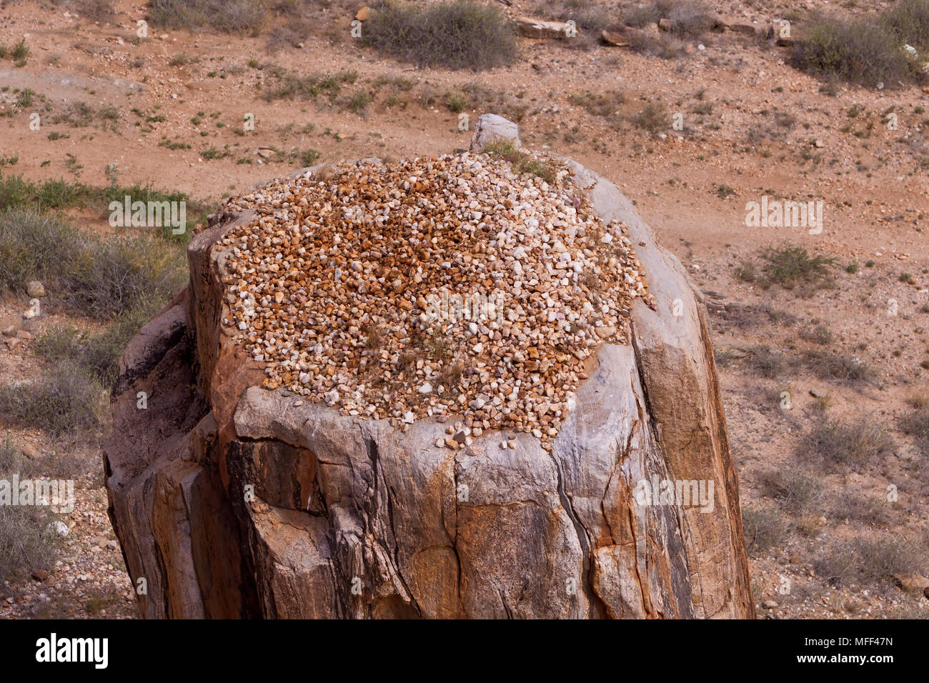 Local Turkana people throw rocks on the stone and rub for a safe ...