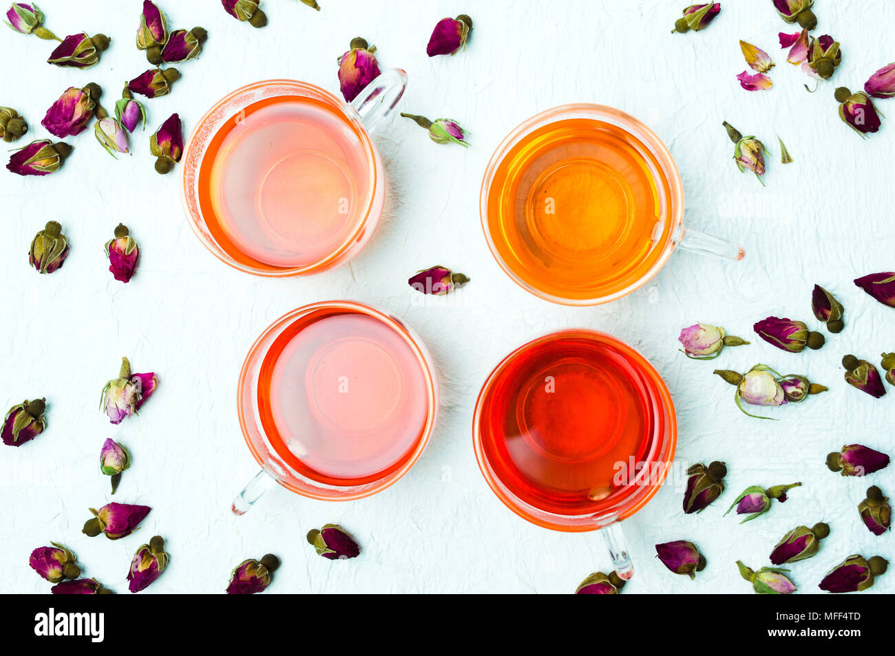 Fresh tea rose fragrance hi-res stock photography and images - Alamy