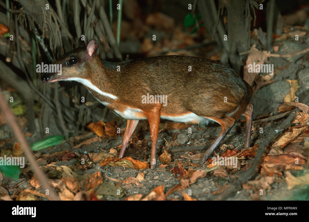 Primarily the south and east hi-res stock photography and images - Alamy