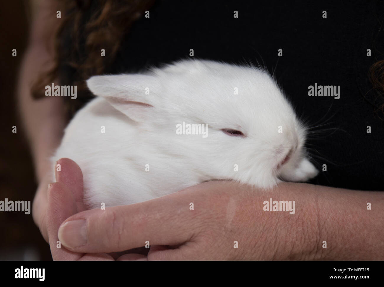Hairy palm hand hi-res stock photography and images - Alamy