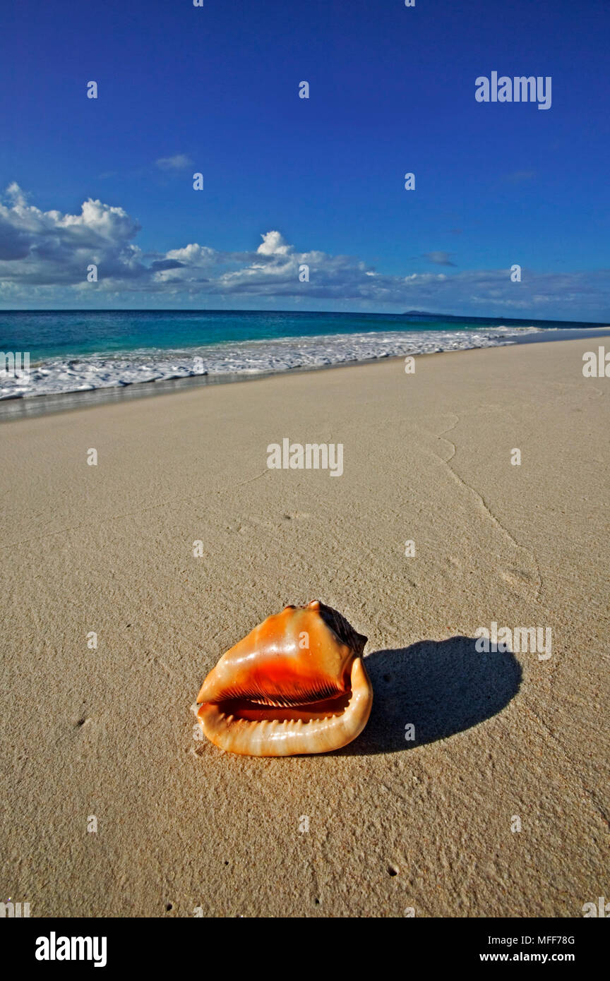 Zb538 mha006572c hi-res stock photography and images - Alamy