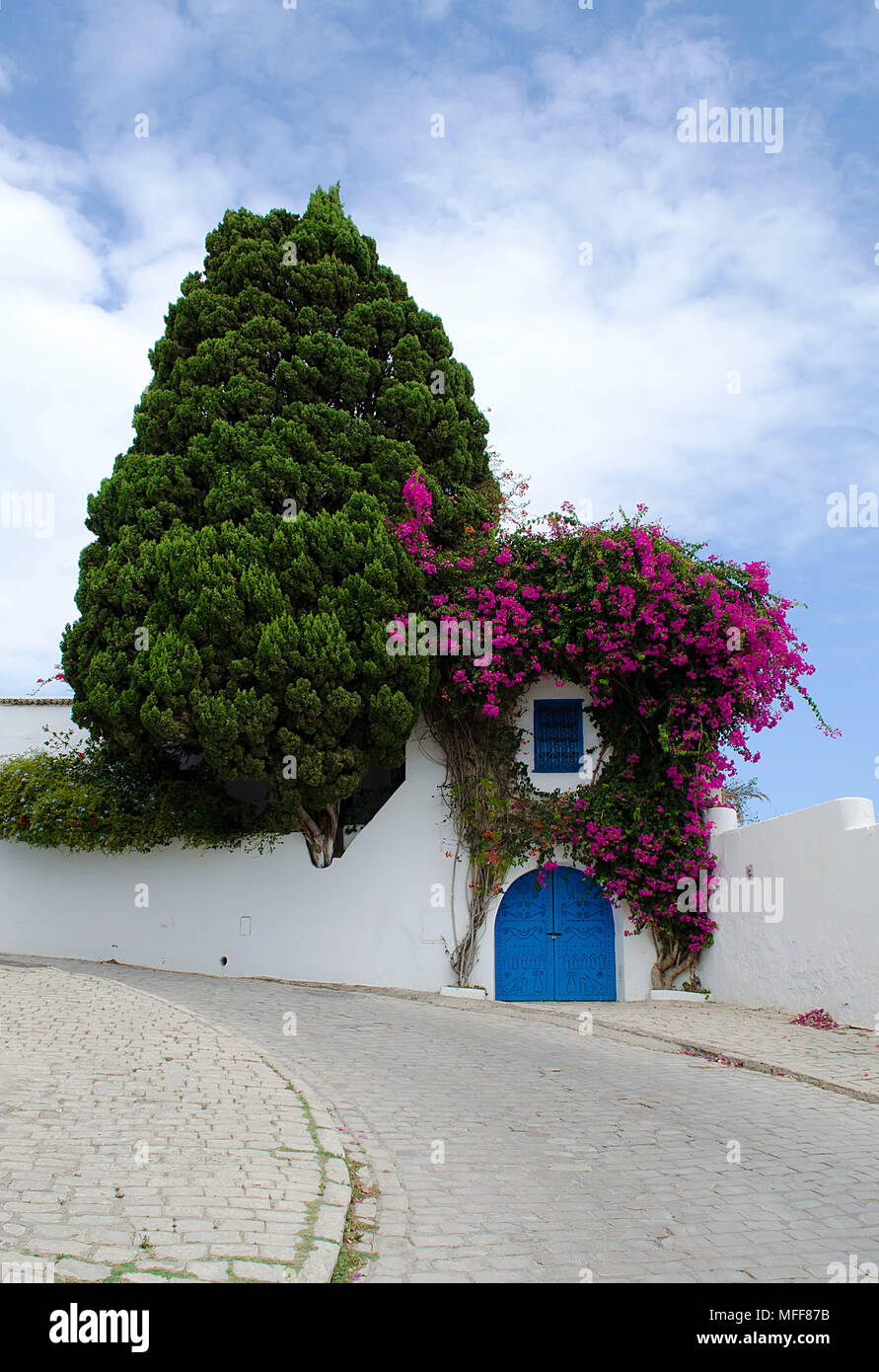 The wall of an Arab house shrouded in flowering plants, and a tree ...