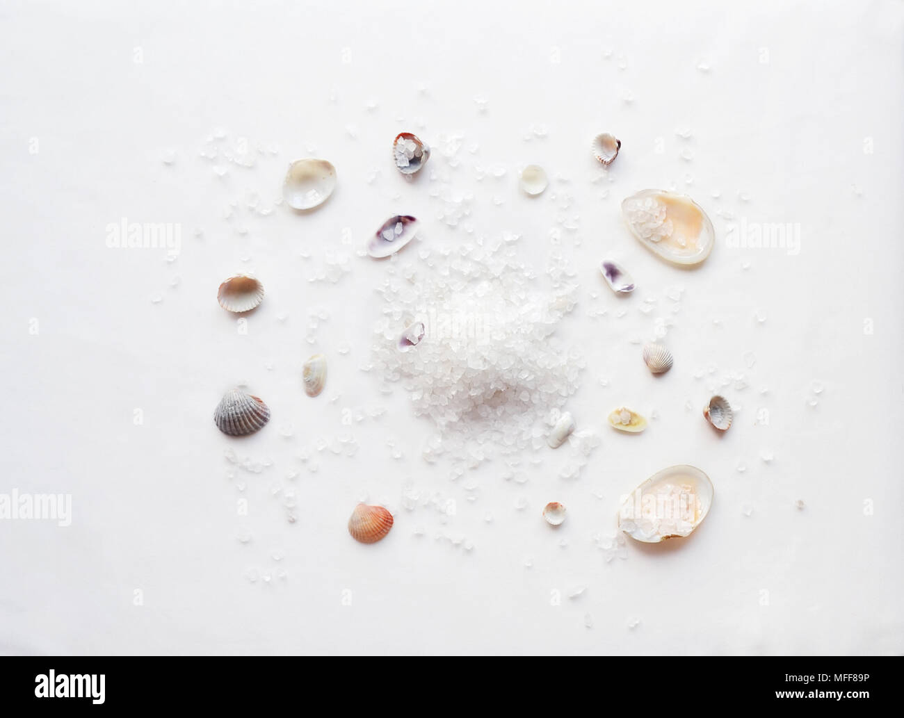 Sea salt and shells on a white background. Background for ...