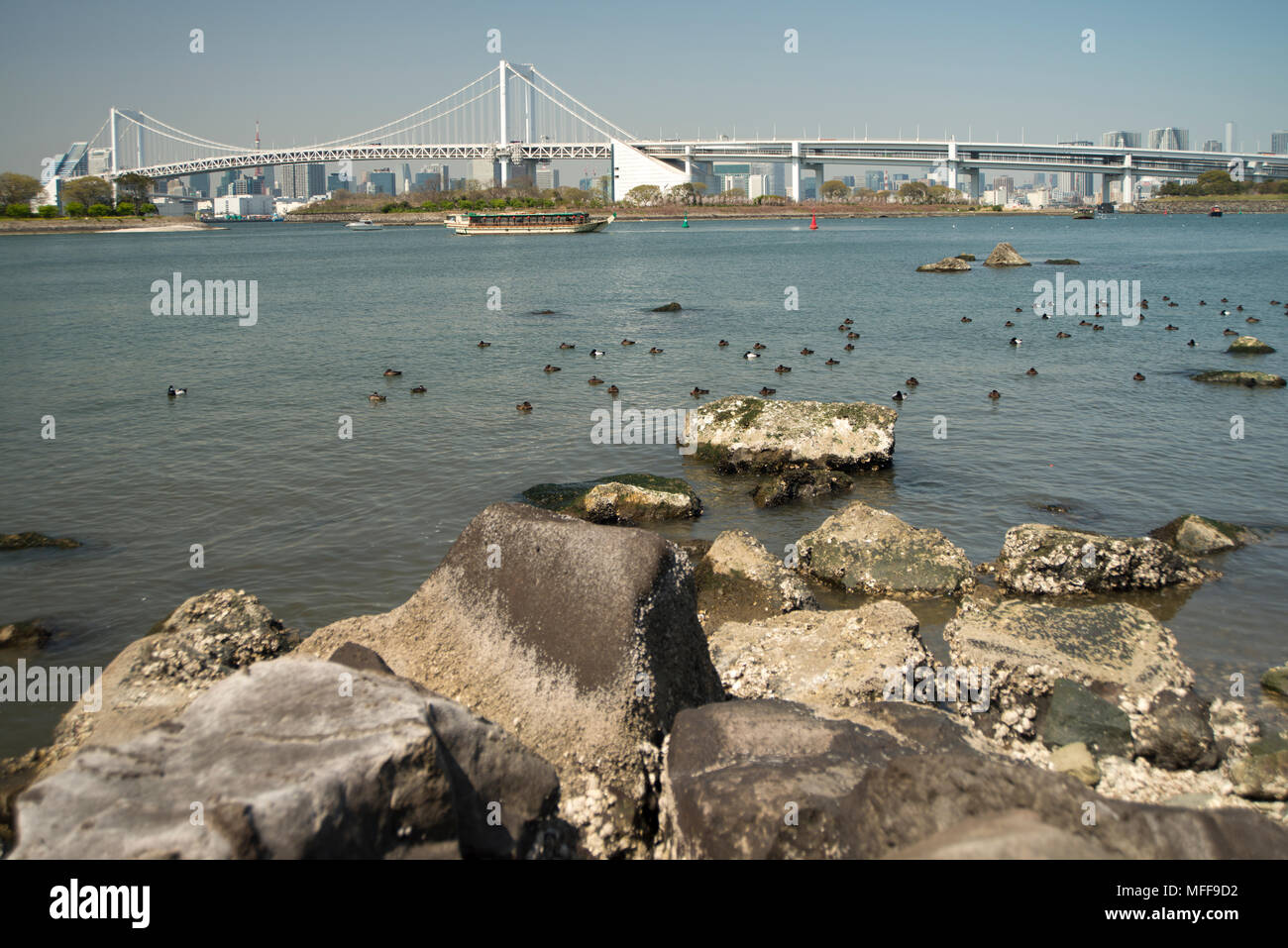 Rainbow Bridge carrying road and rail traffic, Tokyo Bay, Odaiba, Tokyo ...