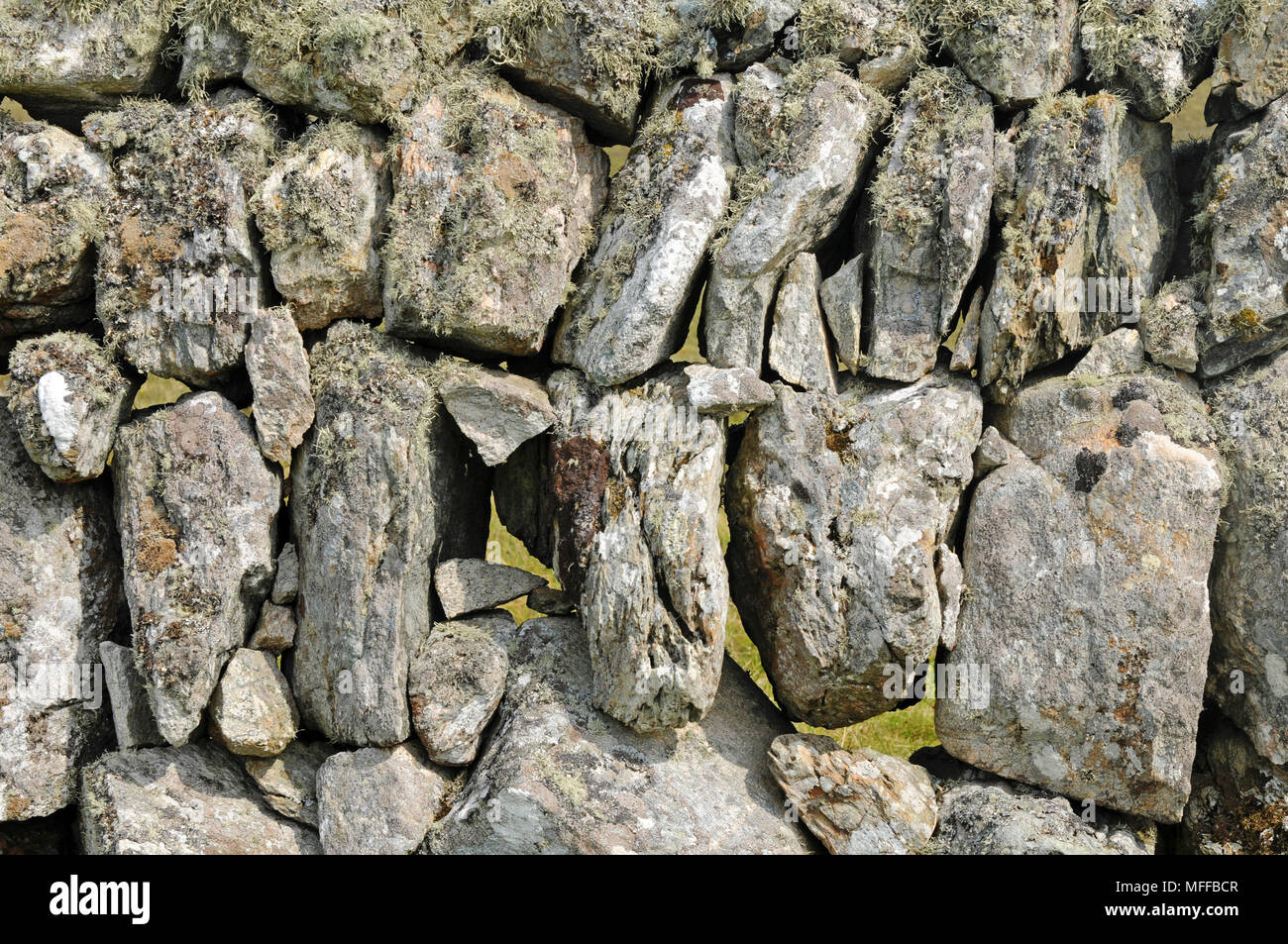 Old hand built stone walls making up boundaries on croft land Stock ...