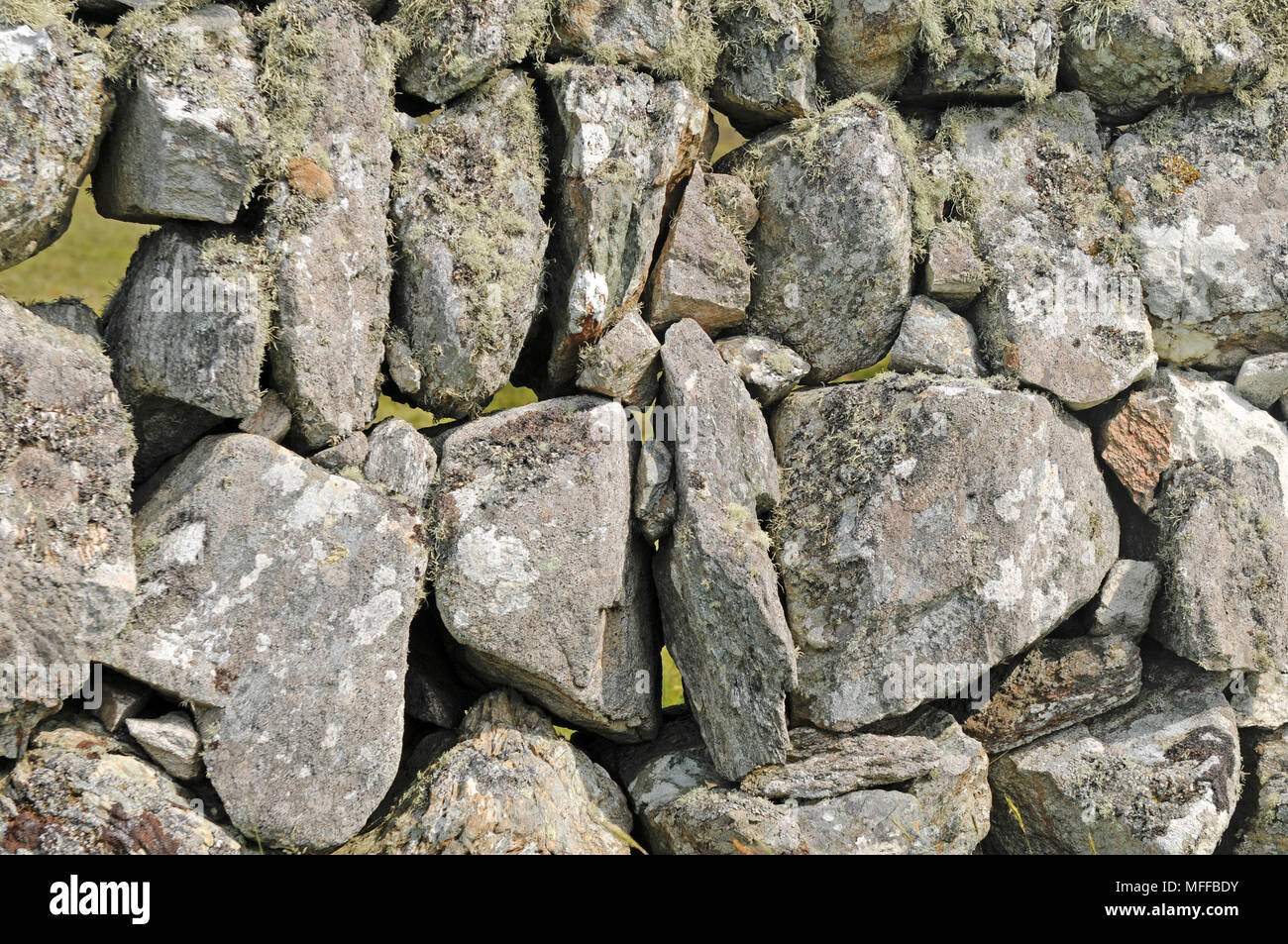 Old hand built stone walls making up boundaries on croft land Stock ...
