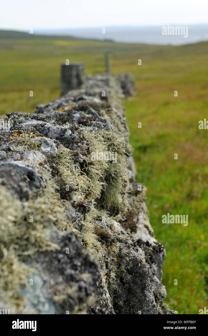 Old hand built stone walls making up boundaries on croft land Stock ...