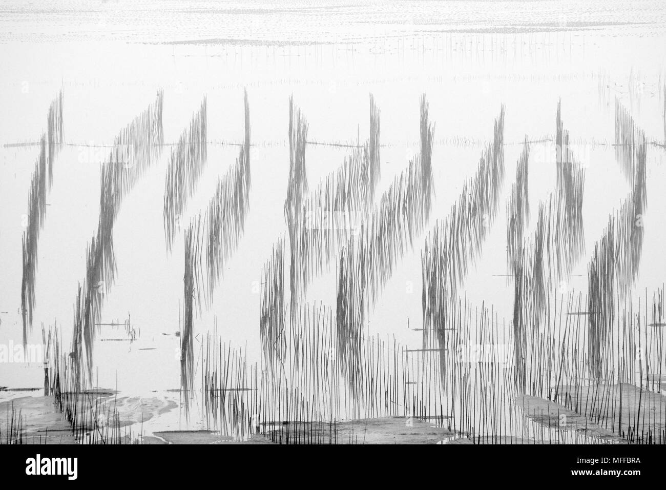 Sticks patterns Black and White Stock Photos & Images - Alamy