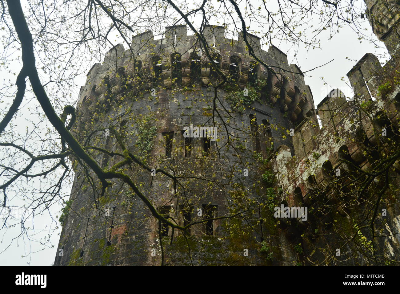 Medieval tourism battlement monument fortification ancient famous ...