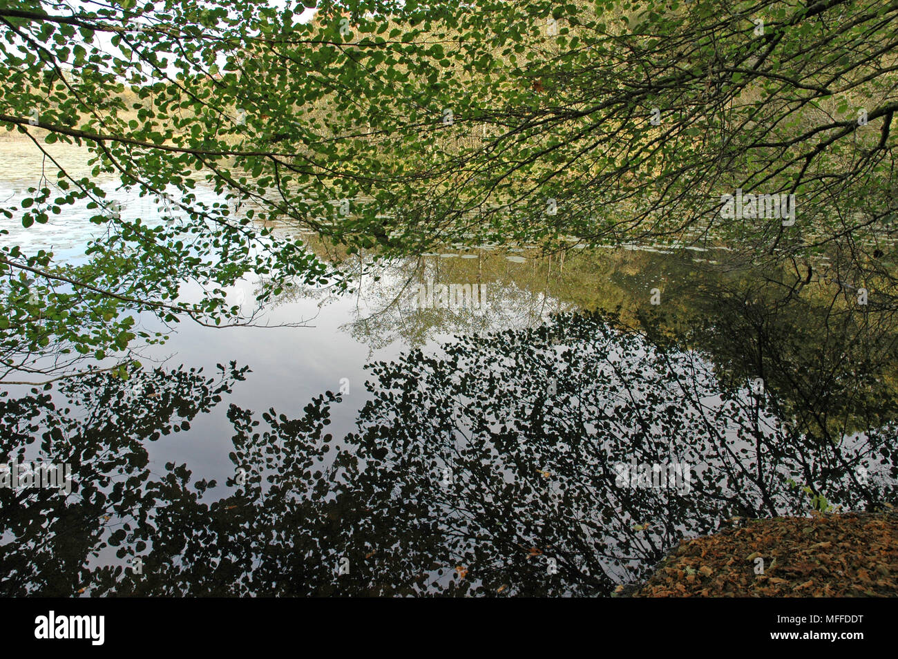 Haute vienne hi-res stock photography and images - Alamy