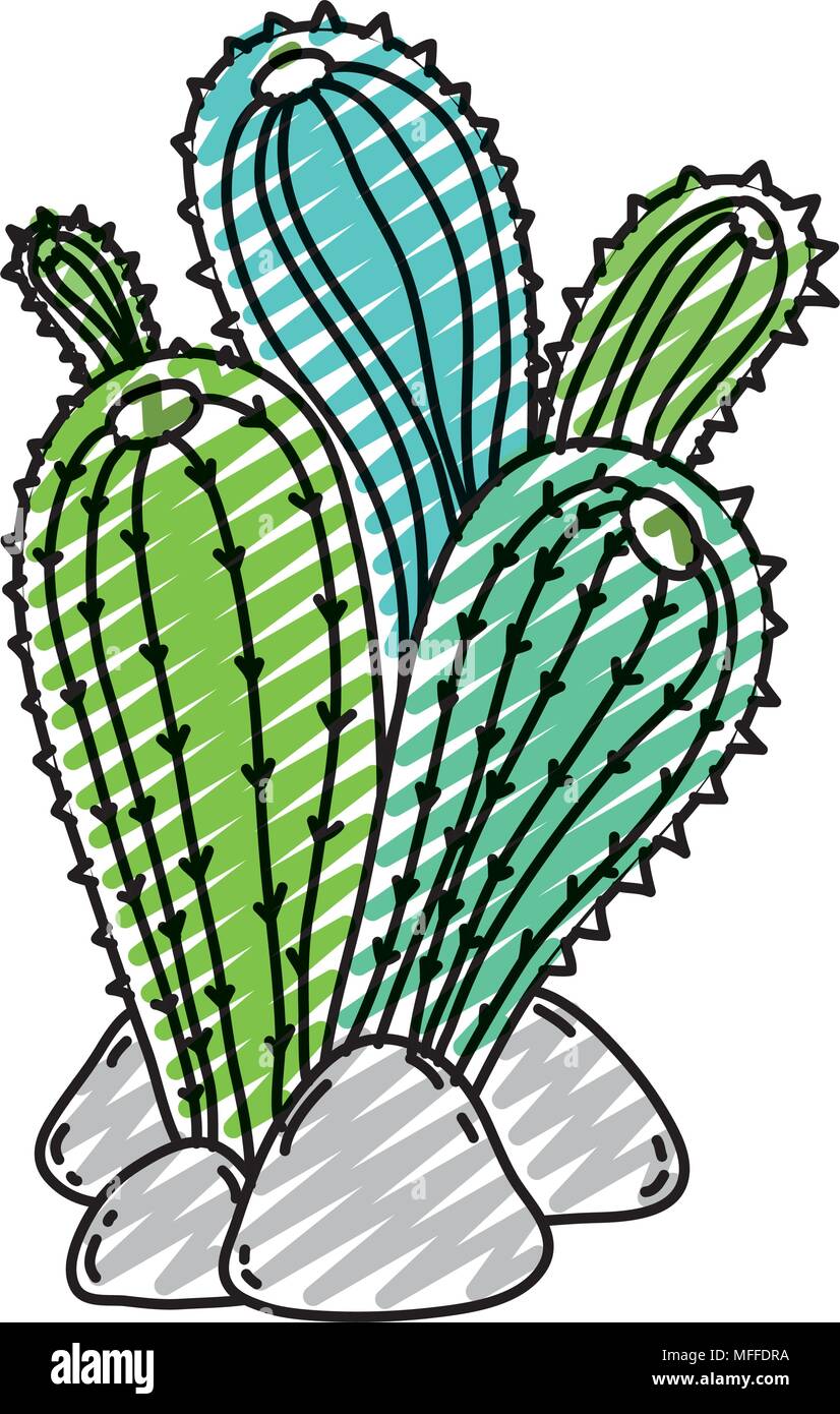 doodle desert cactus plant with nature stones Stock Vector Image & Art ...