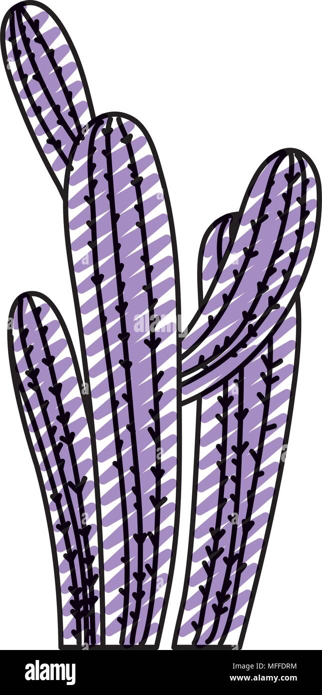 doodle desert nature cactus plant design Stock Vector Image & Art - Alamy