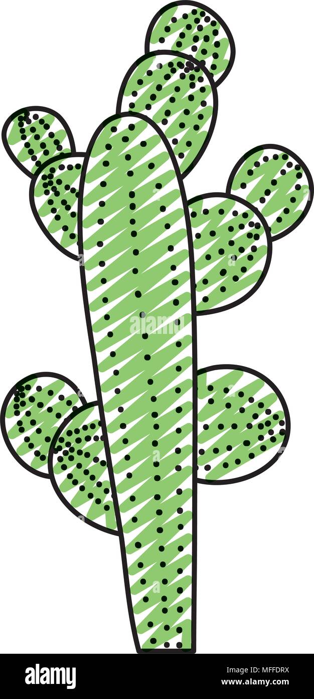 doodle botany cactus desert nature plant Stock Vector Image & Art - Alamy