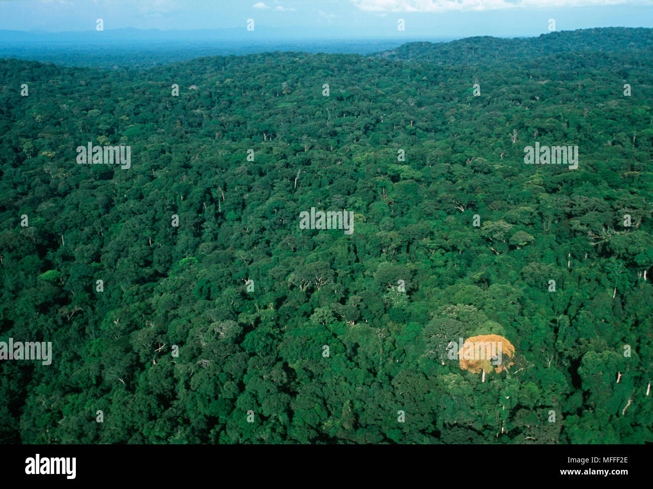 Congo rainforest aerial hi-res stock photography and images - Alamy